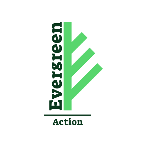 Trilogy Interactive Llc